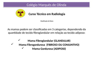 Aula 3-Classificação das Mamas com foco em mamografia.pptx