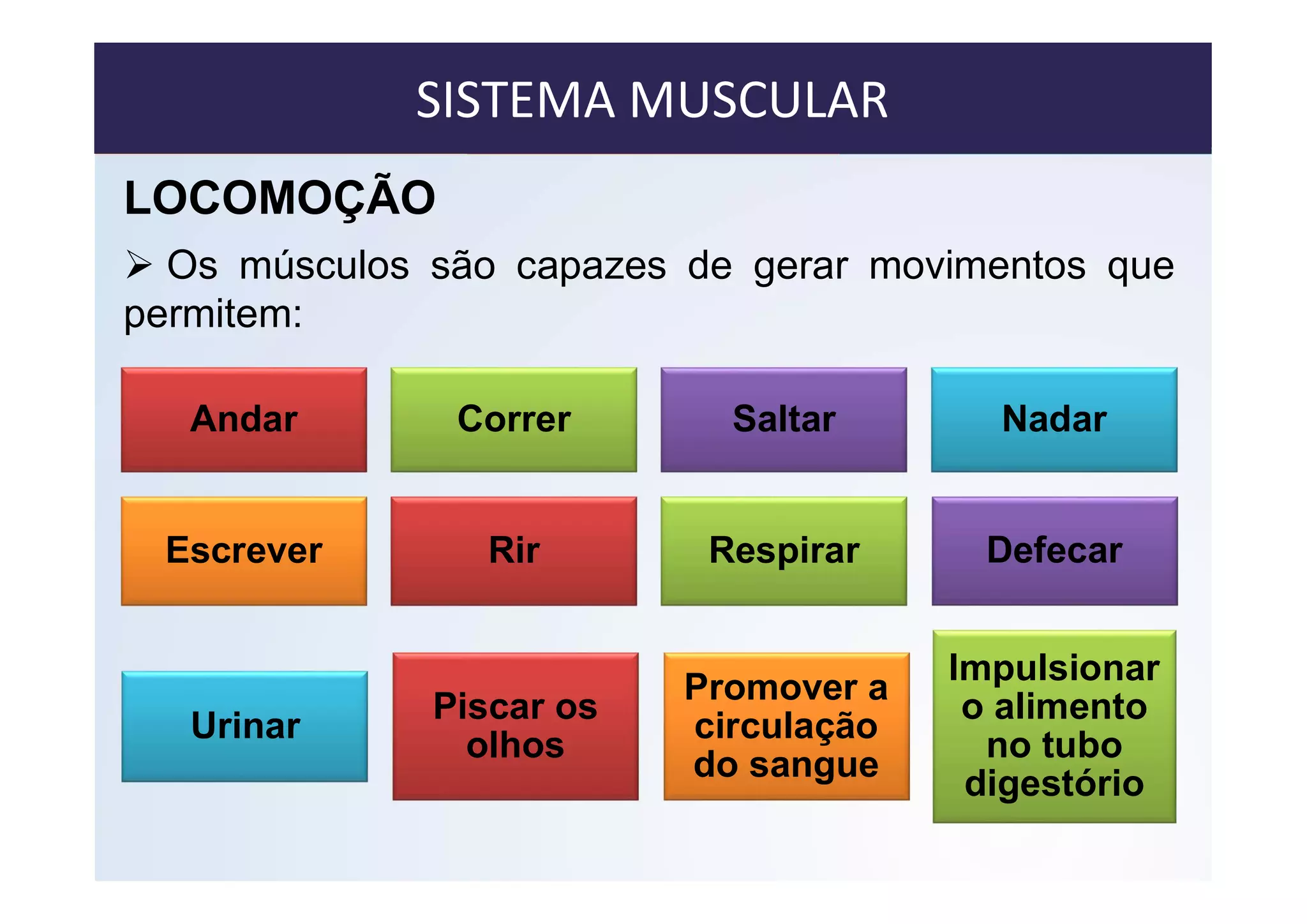 Aula 3 - Sistema Muscular - Prof. Rafael Ramos.pdf