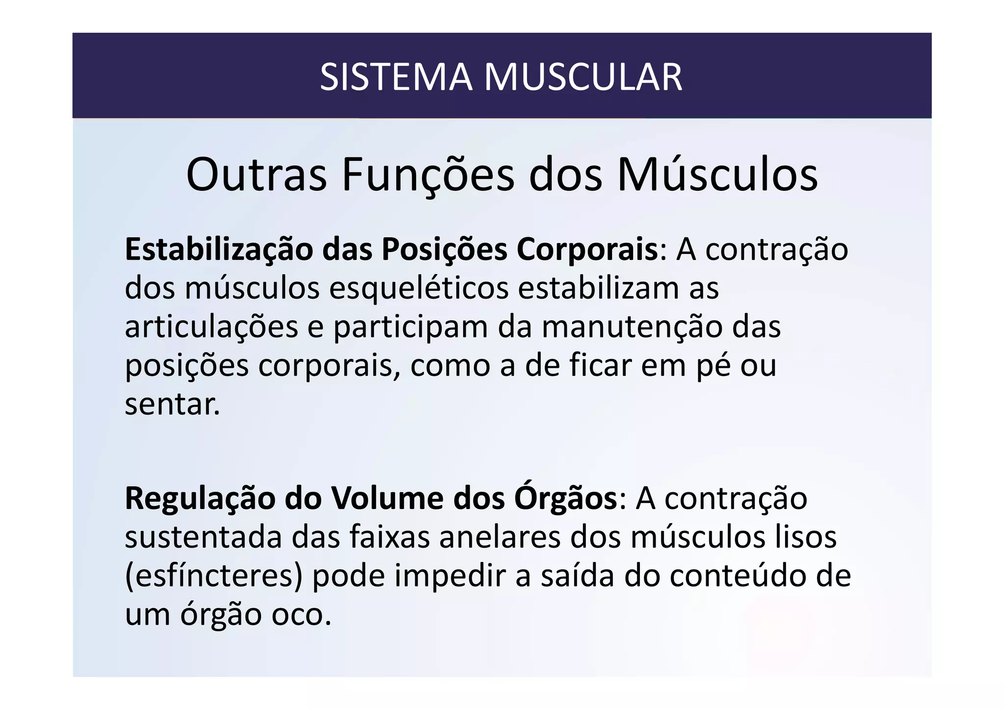 Aula 3 - Sistema Muscular - Prof. Rafael Ramos.pdf