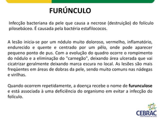 Anatomia - sistema tegumentar | PPTX