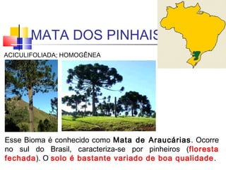 Aula clima biomas brasil sartre frente2 | PPT