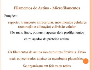 membrana celular e citoesqueleto | PDF