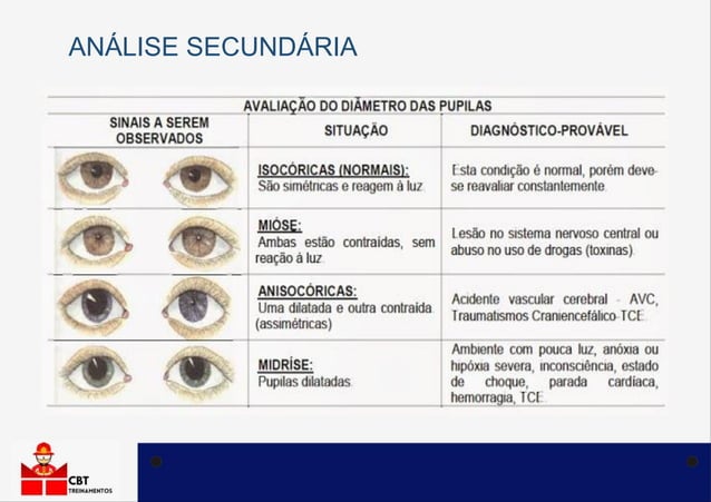 3- Avaliação secundária, Exame físico detalhado (Céfalo Caudal ...