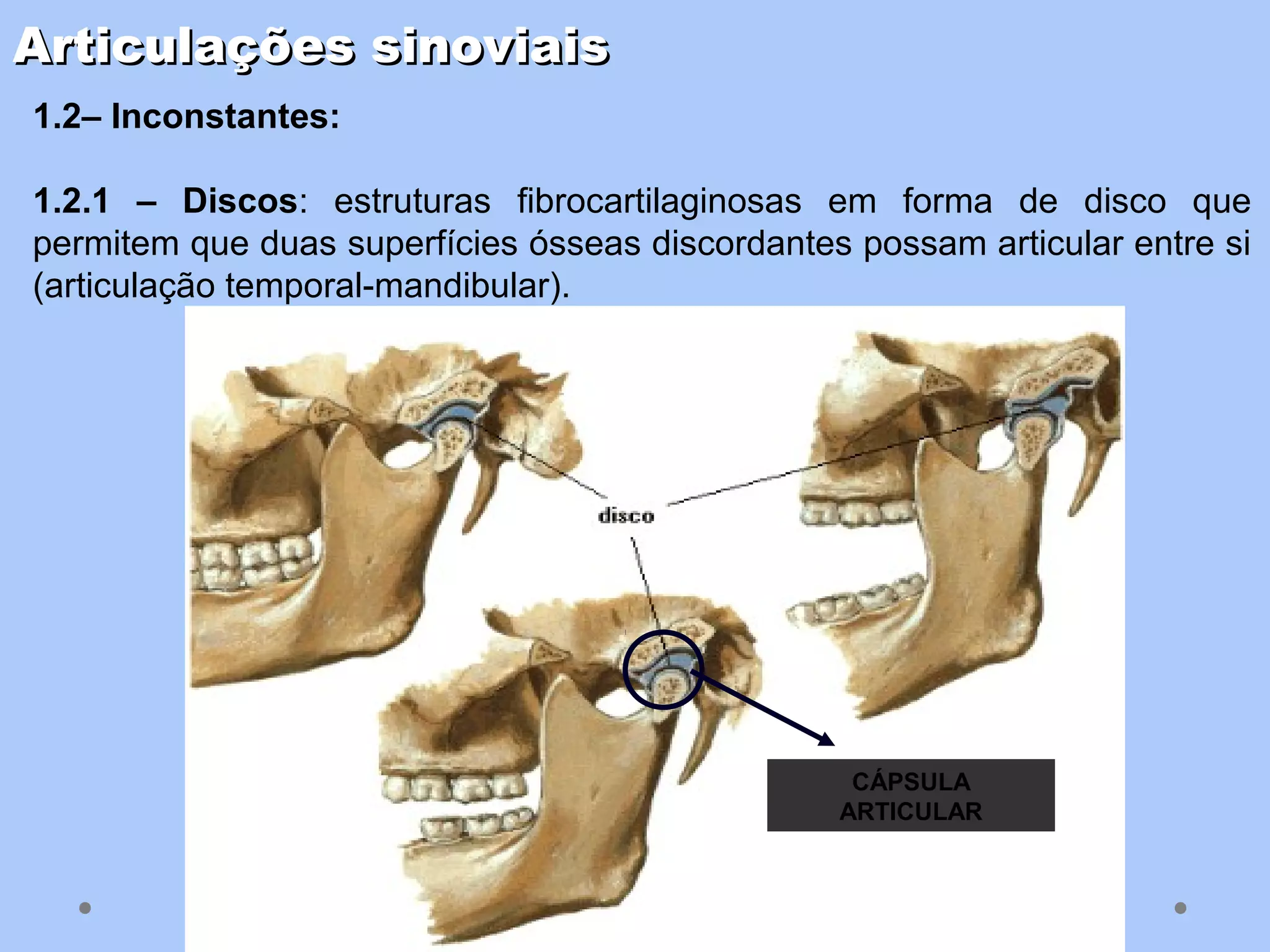 Anatomia - Sistema Articular | PPT