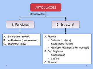 Anatomia - Sistema Articular | PPT