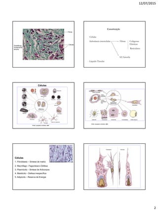 Aula 3 tecido conjuntivo | PDF