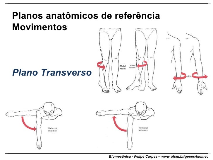 Aula 4 Cinematica Linear (partes 1 e 2)