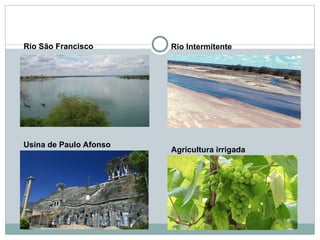 ESPCEX - As principais bacias hidrográficas do Brasil.ppt