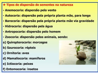 Aula 4 - Fitogeografia - Parte 2.pdf