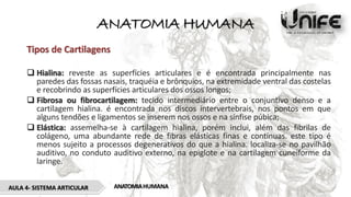 Aula 4 - Sistema Articular- Anatomia Humana.pdf
