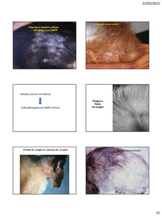 Aula 4 dermato parte 2 | PDF