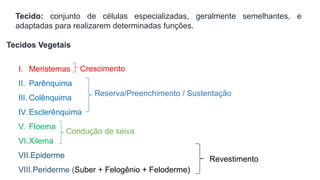 Aula Fisiologia vegetal para biomedicina | PPTX