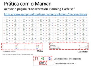 Planejamento Sistemático de Conservação - Prática com o Marxan | PDF