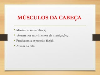AULA 4 MUSCULO DA CABECA_Anatomia humana | PPT