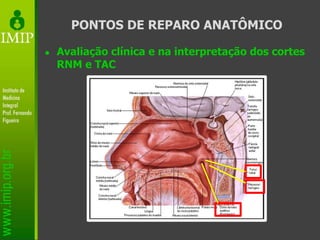 Aula 4 nasofaringe | PPTX