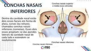 AULA 4 OSSOS FACE.pptx