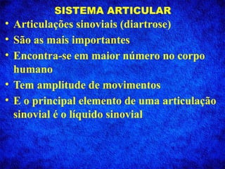 aula 4 anatomia do SISTema ARTICULAR.pptx