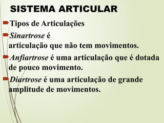 aula 4 sistema articular e muscular.pptx