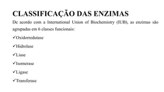 Aula 6. Estudo das Enzimas.pptx