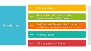 Tegumento comum veterinária | PPTX