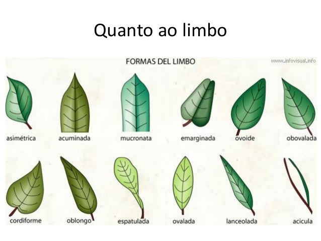 Aula 6 Prof. Guth Berger