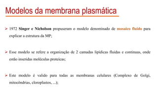 Aula 6 - Membrana Plasmática (Estrutura, função e glicocálix).pdf