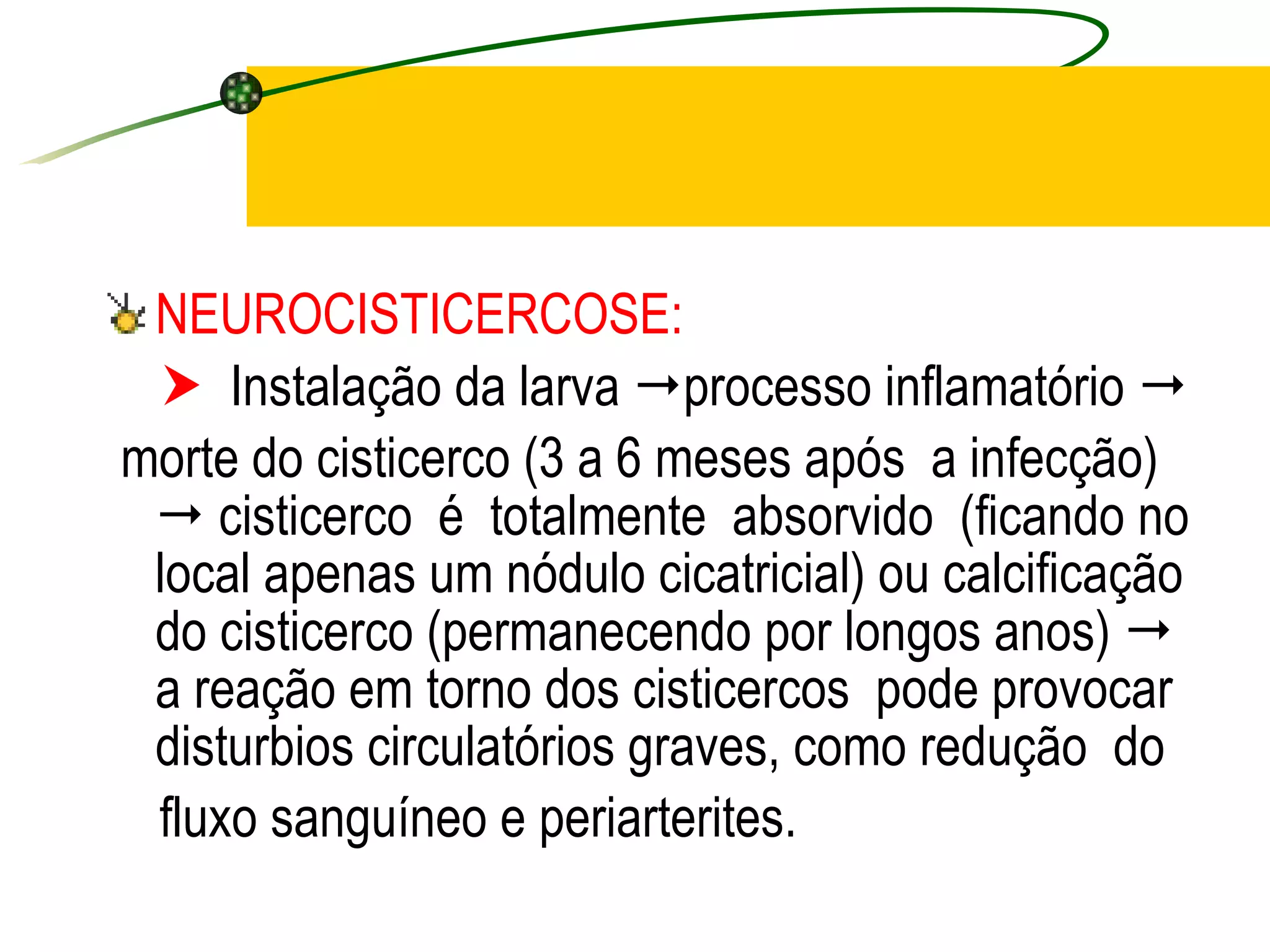 Aula 6 Teniase E Cisticercose | PPT