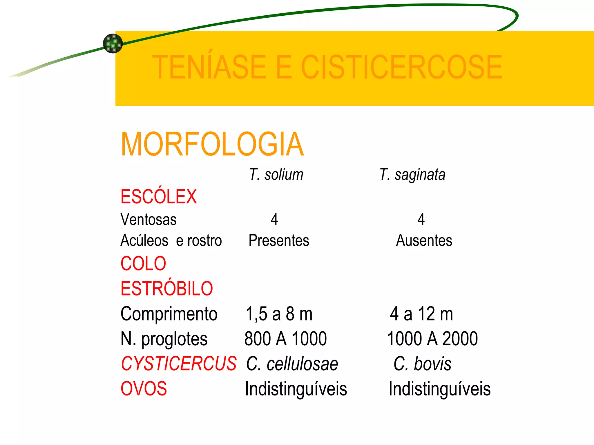 Aula 6 Teniase E Cisticercose | PPT