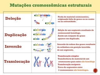 Aula 7. Mutações.pptttttttttttttttttttttttttttttttttttttt | PPT