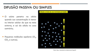 Aula 7 - Transporte através da membrana.pdf