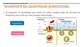 Aula 7 - Transporte através da membrana.pdf