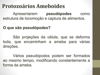 Aula 7º ano reino protista | PPTX