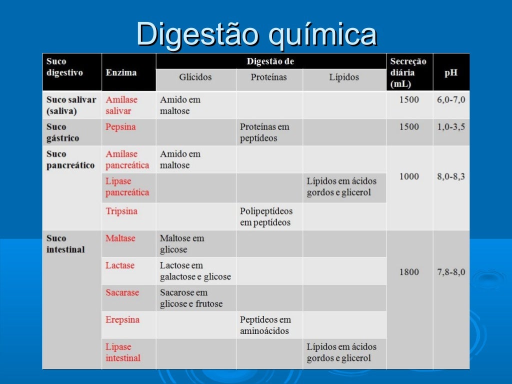 Tabela Tempo De Digestão Dos Alimentos - FDPLEARN