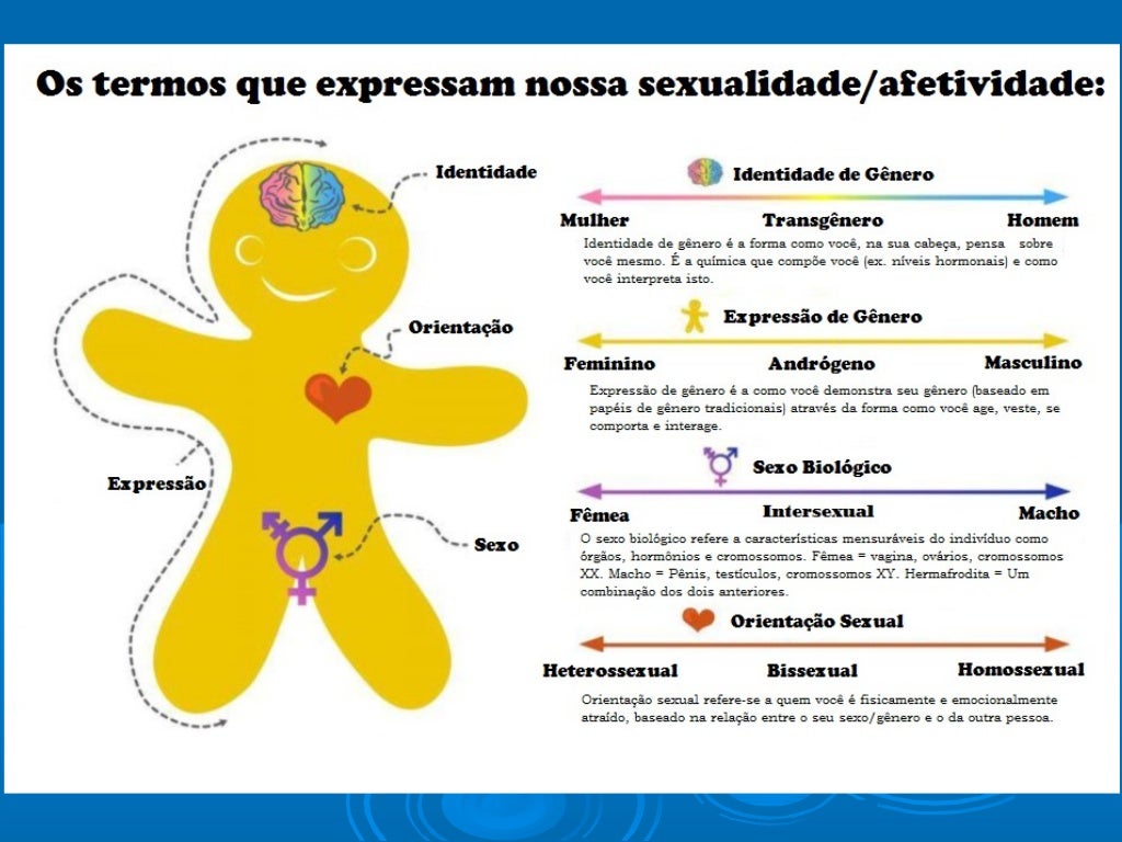 Aula 8º Ano Sexualidade