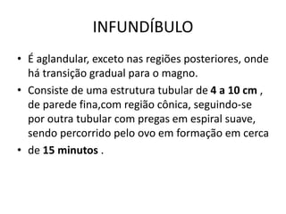 Aula 9. Fisiologia da Reprodução anjmal.pptx