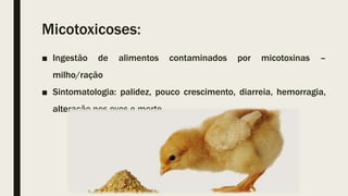 Principais doenças que acometem aves comerciais | PPTX
