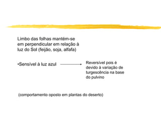 AULA 9 - Tropismos e Nastismos- fisiologia vegetal | PPT