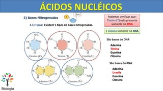 aula Acidos Nucleicos - Duplicacao do DNA e Sintese Proteica.ppt