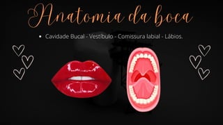 Aula anatomia da cavidade bucal - ASB.pdf