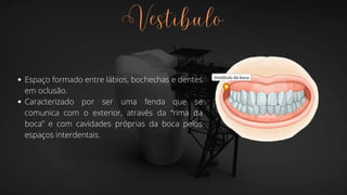 Aula anatomia da cavidade bucal - ASB.pdf