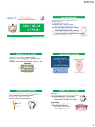 Aula anatomia dental | PDF