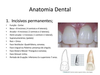 AULA ANATOMIA E FISIOLOGIA BUCAL.pptx