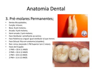 AULA ANATOMIA E FISIOLOGIA BUCAL.pptx