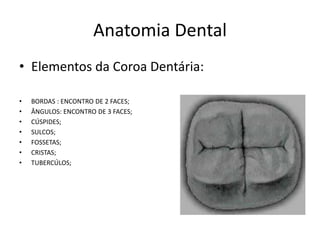AULA ANATOMIA E FISIOLOGIA BUCAL.pptx