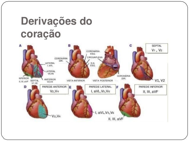 Aula arritmias e interpretação de ECG