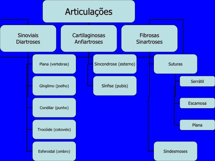 Aulaarticulaes paraenvio