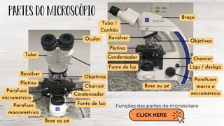 AULA BIO - Teoria Celular e microscópios.pdf