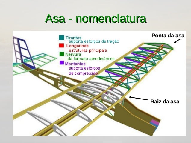 Conhecimentos Gerais de Aeronaves para Comissários