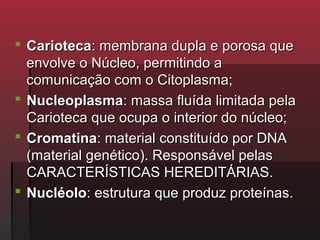 Aula citologia | PPT