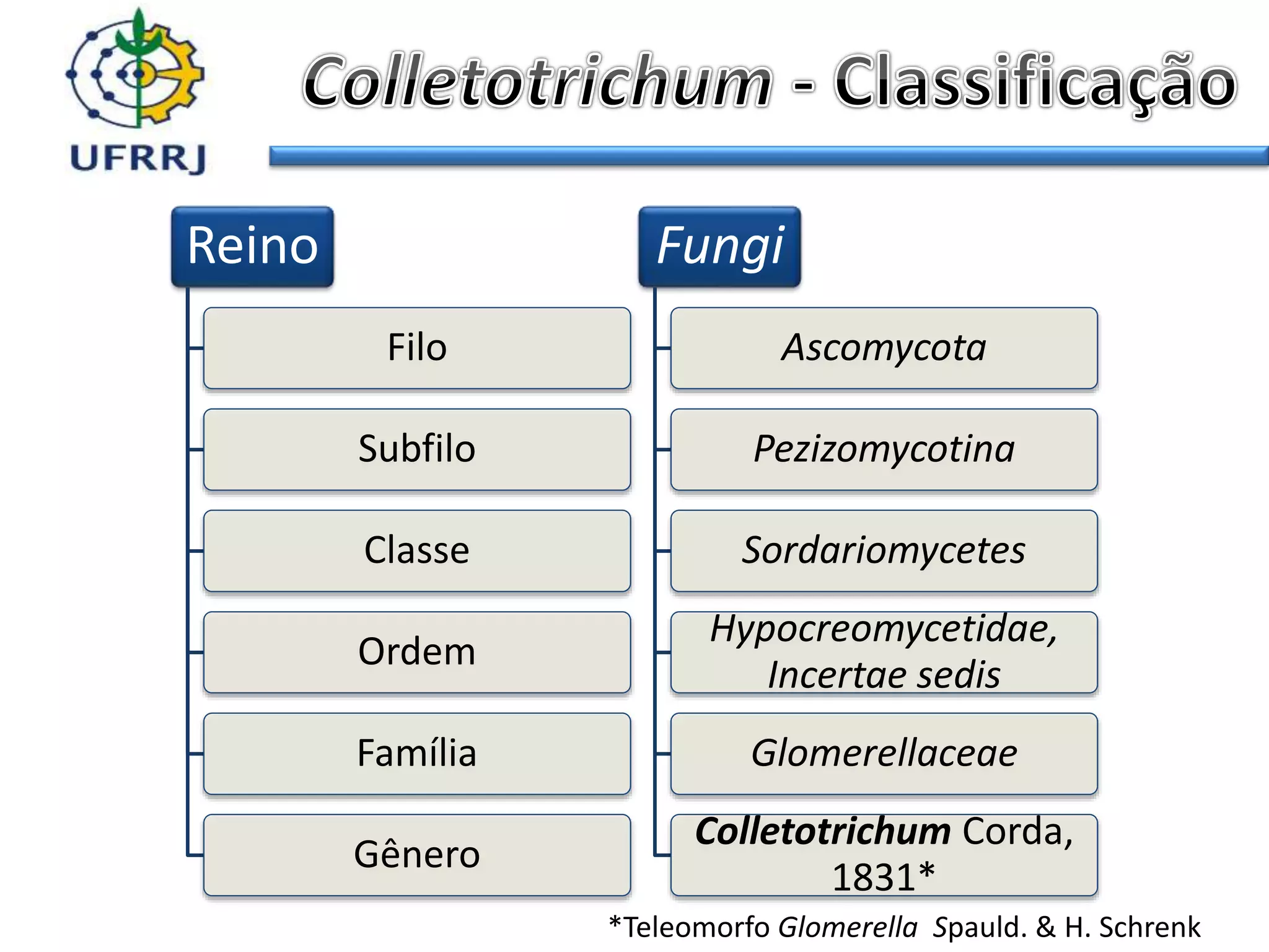 Aula Colletotrichum 1a. revisao.ppsx